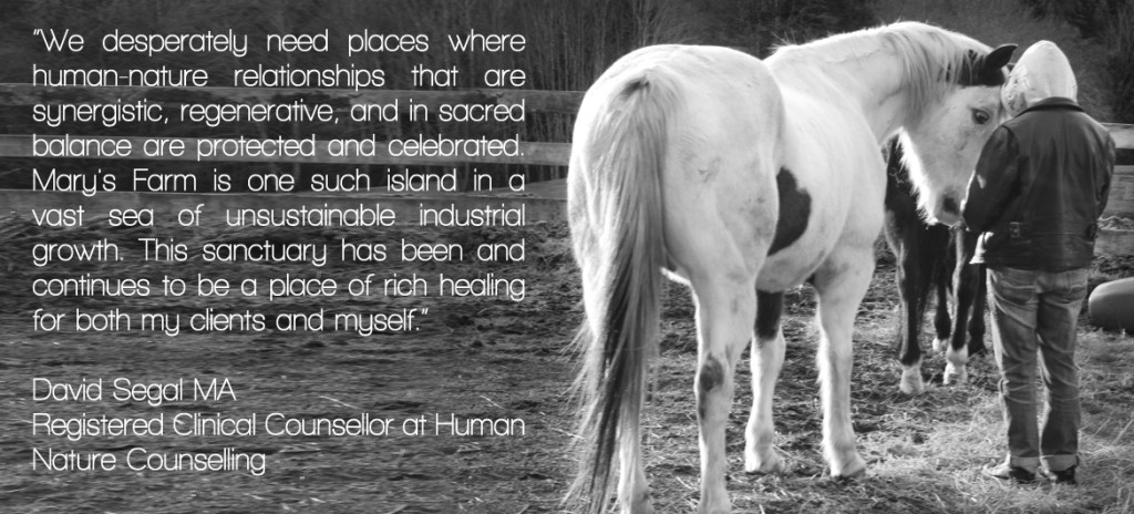 Mary's Farm & Sanctuary – fostering dynamic relationships between ...